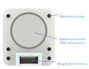 IO Research Fiber at NeuroBionics: Adaptive Fiber Technology