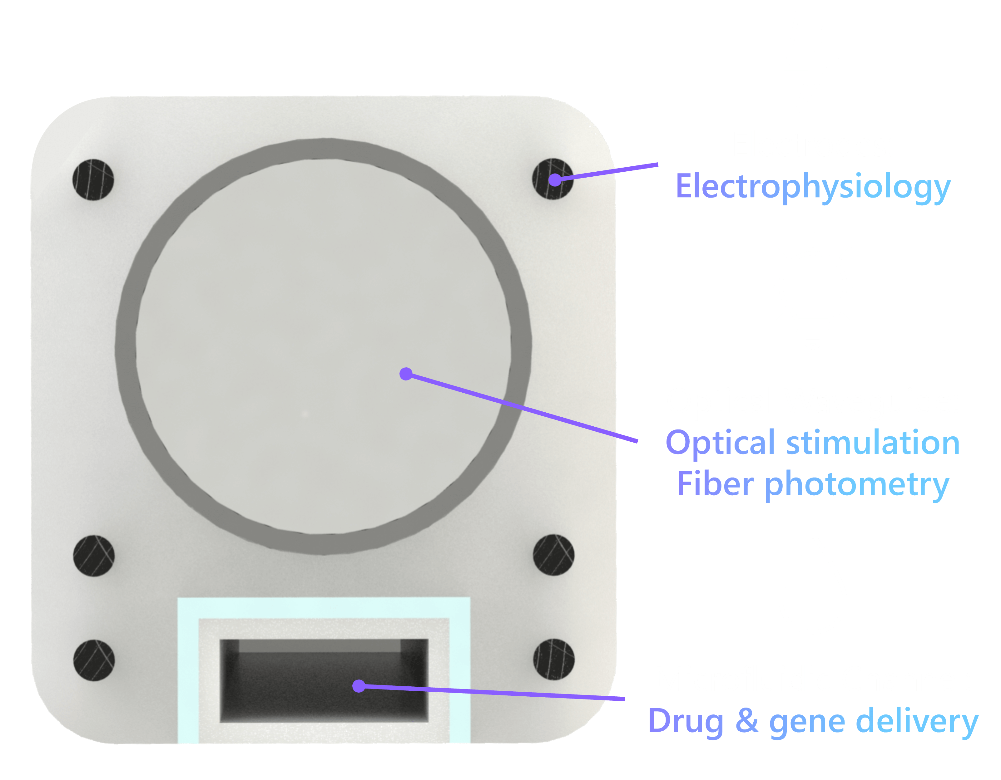 IO Research Fiber at NeuroBionics: Adaptive Fiber Technology